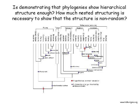Hierarchical Structuring Of Trait Data Bot 940 Evidence