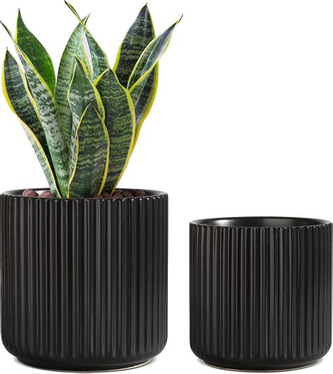 T4U Pots en céramique Lot de 2 pour Plantes Cactus et succulentes