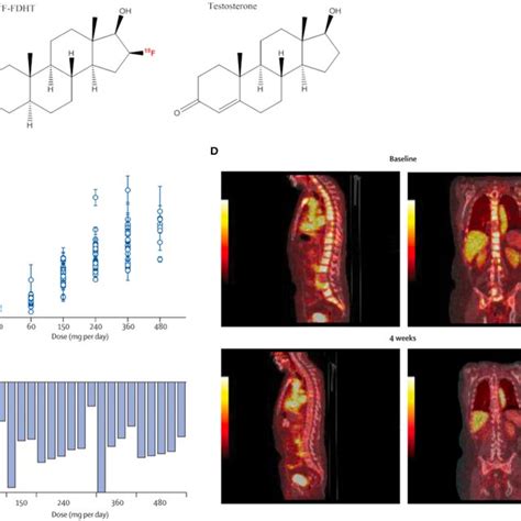 Quantitative Imaging Of The Androgen Receptor ¹⁸f Fdht Which