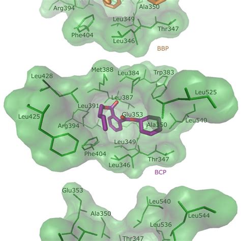Visualization Of The Molecular Docking Result The Lowest Binding