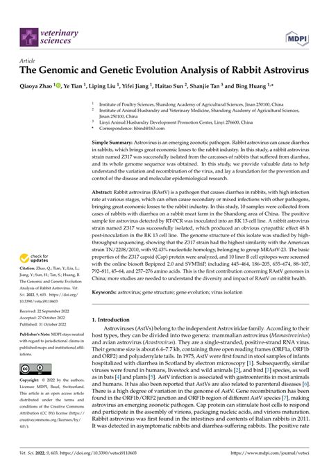 Pdf The Genomic And Genetic Evolution Analysis Of Rabbit Astrovirus