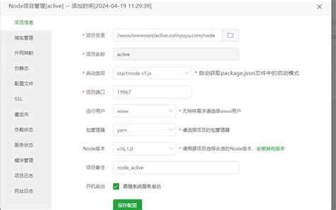 【已完成】宝塔无法使用pm2管理器，迁移至node js后不能用 linux面板 宝塔面板论坛