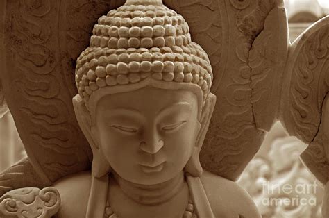 Lord Buddha Sepia Photograph By Michael Ziegler Fine Art America