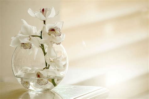 Hd Wallpaper Bouquet Flower Arrangement Decoration Flowers Rose