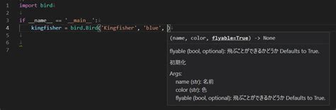 Python Docstring