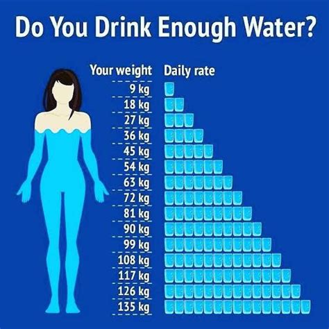 How Much Water Should You Drink Health Facts Effective Workout