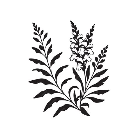 Snapdragon Flower Silhouette Vector Illustration Premium Ai Generated