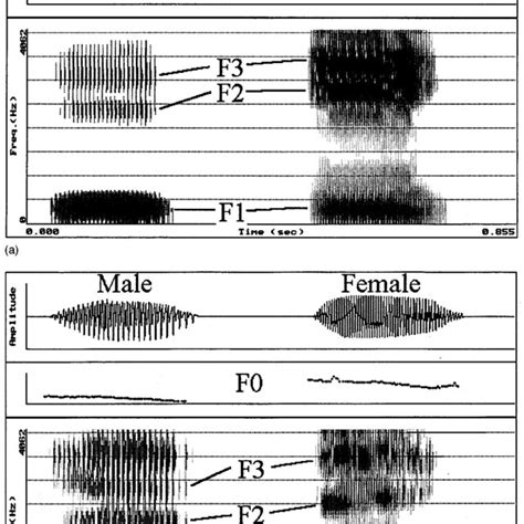 Spectrograms For The Synthetic Male And Female Adaptors Spectrograms