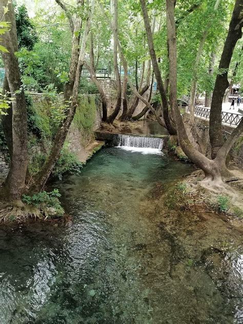 ΜΕ ΠΟΛΥ ΚΕΦΙ ΚΑΙ ΖΩΝΤΑΝΙΑ ΠΡΑΓΜΑΤΟΠΟΙΗΘΗΚΕ Η ΕΚΔΡΟΜΗ ΤΟΥ ΣΥΛΛΟΓΟΥ “Η ΠΗΓΗ” ΣΤΟΝ ΟΣΙΟ ΛΟΥΚΑ ΤΟ