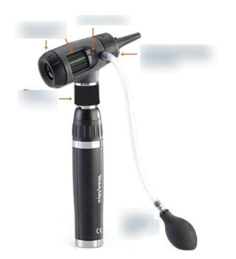 Label The Otoscope Components Diagram Quizlet