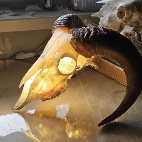 Skull Lamp Etsy