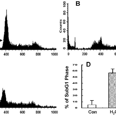 Photographs Of DAPI Staining Showing Changes In DNA Morphology Of Download Scientific Diagram