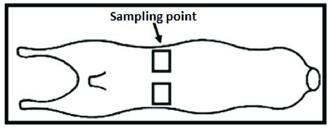 Carcass Sampling Areas Download Scientific Diagram