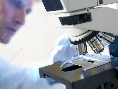 Microscope Use Stock Image G Science Photo Library