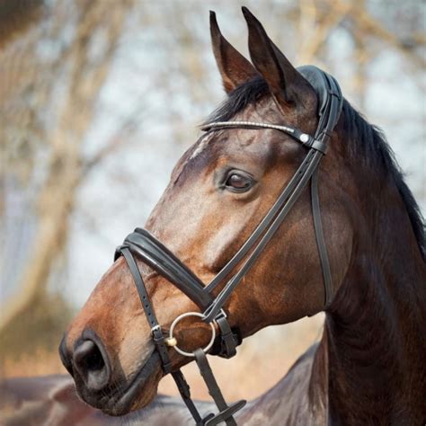 Buy Finesse Cayenne Snaffle Bridle Black With Silver Buckles From Build A Bridle