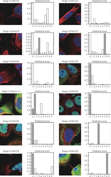 prediction of protein subcellular localization based on microscopic