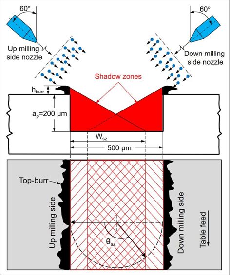 Difference Between Scalar Quantity And Vector Quantity