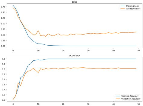 Fruit Classification Using A Convolutional Neural Network