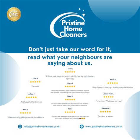 Pristine Home Cleaners Mopmaps