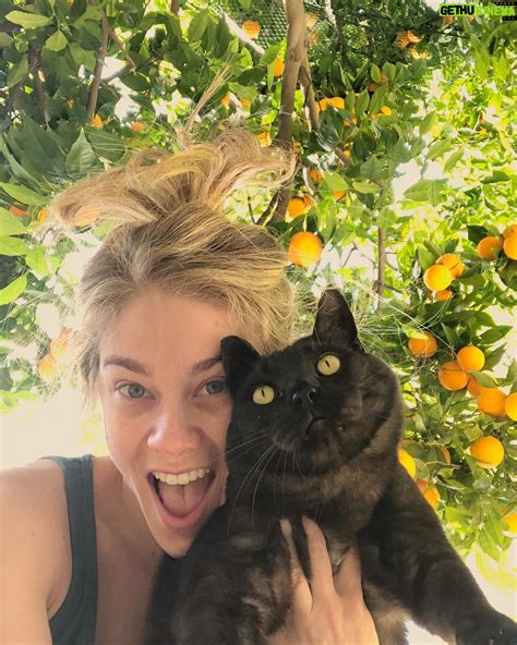 Kim Matula Gethu Cinema