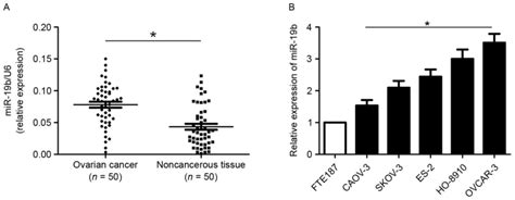 Microrna‑19b Promotes The Migration And Invasion Of Ovarian Cancer