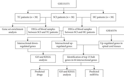 The General Flow Diagram Of This Study Download Scientific Diagram