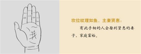 手相图解：手掌纹路预示人一生运势；三才纹；千金纹；离卦纹；震卦纹国易堂app周易预测网