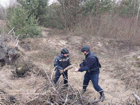У Любомлі під час розширення дороги знайшли боєприпаси часів Другої