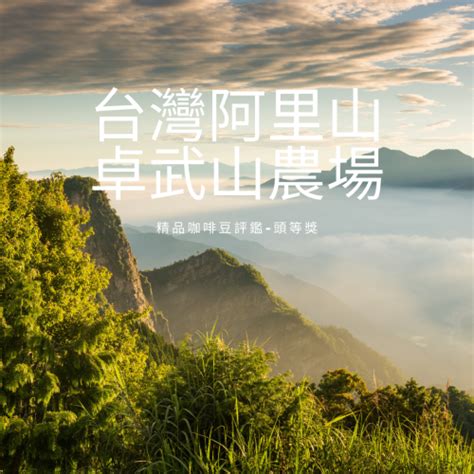 莊園級精品咖啡豆 台灣阿里山 卓武山農場 創始咖啡 Iopen Mall