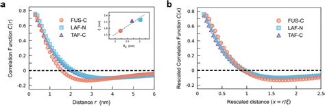 Scale‐free Spatio‐temporal Correlations In Conformational Fluctuations