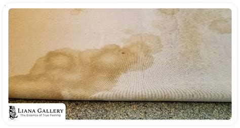 Как да премахнете Стари петна по килим