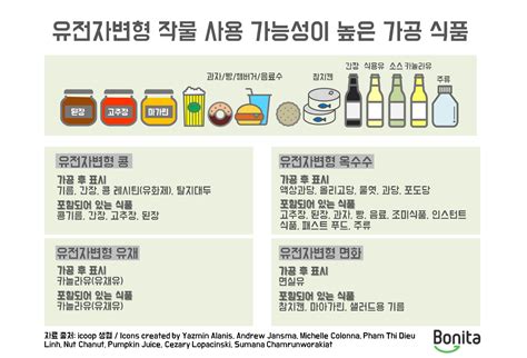 보니따의 지속가능한 세상 만들기 유전자변형식품 ② 꼭꼭 숨겨라 더나은미래