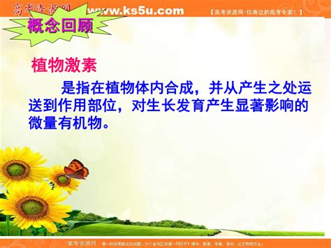 《其他植物激素》讲》ppt课件