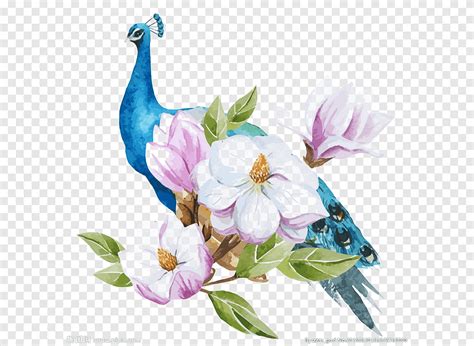 Pintura De Pavo Real Azul Pavo Real Azul Pintura De Acuarela Azul Png PNGEgg