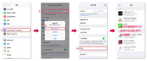 怎么解除wps会员，不想在自动续费