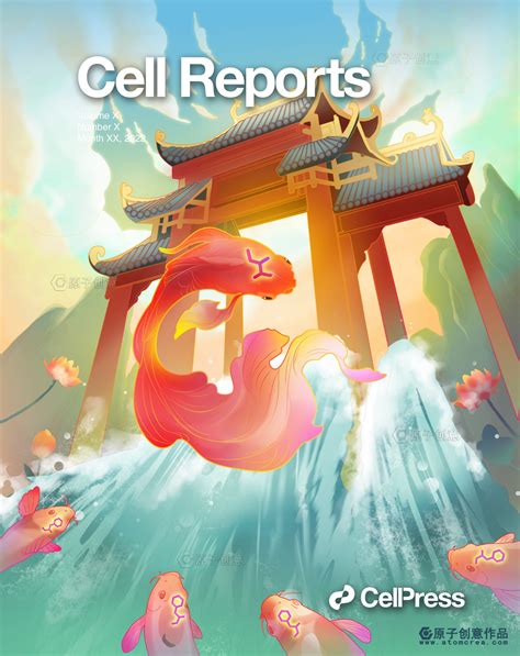 我们绘制的封面 科研分享