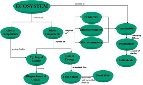 Unit Concept Map Billy Wylie Grade 11 Biology 20132014