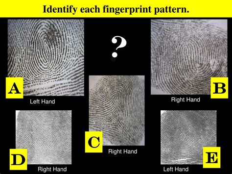 PPT Fingerprints PowerPoint Presentation Free Download ID