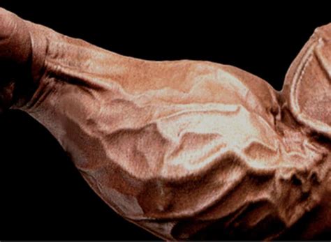 How To Get Bigger Forearms Fast