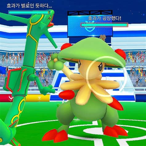 포켓몬고 버섯모 레이드 약점 졸업스킬 레이드 공략 추천 포켓몬 46가지 레이드배틀로 버섯모 잡아보기 네이버 블로그