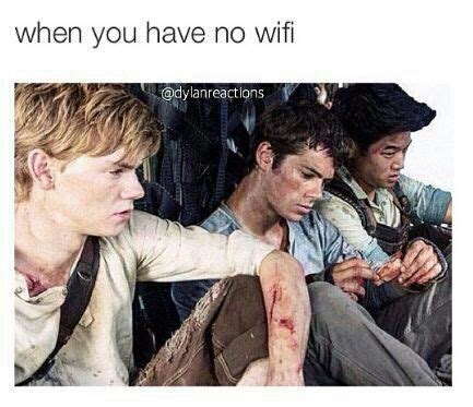 His Glue Newt X Reader The Banishment Maze Runner Funny Maze Runner Movie Maze Runner