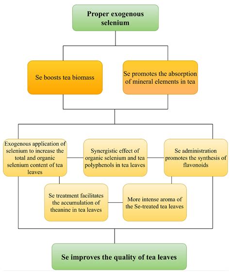 Research Progress On The Effects Of Selenium On The Growth And Quality