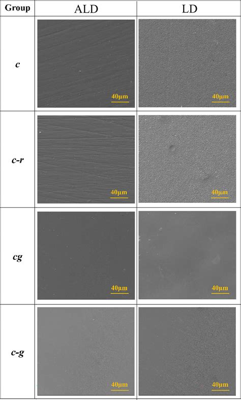 Sem Images ×1000 Of Representative Surface Morphology Of Advanced Download Scientific Diagram