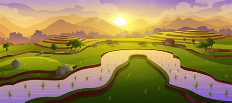 Rice Field Vector Art Icons And Graphics For Free Download