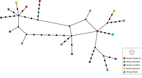 tcs haplotype network analysis based on the coi gene generated in the