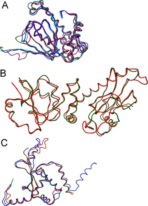 Peptidic Backbone Overlays Of Eukaryotic Hsp90 Domains A N Terminal