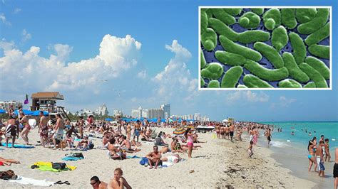 Temor En Las Playas Por Bacteria Come Carne” Telemundo Mcallen 40