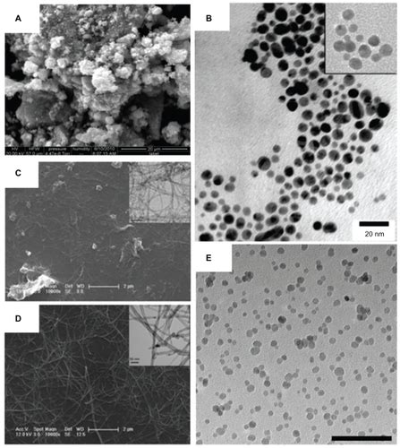 Full Article Reducing Infections Through Nanotechnology And Nanoparticles