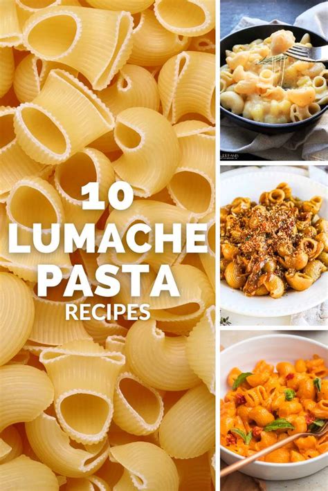 10 Lumache Pasta Recipes Cooking My Dreams