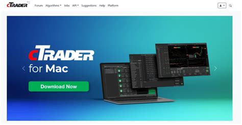 Top Metatrader Alternatives For Navigating New Trading Platforms